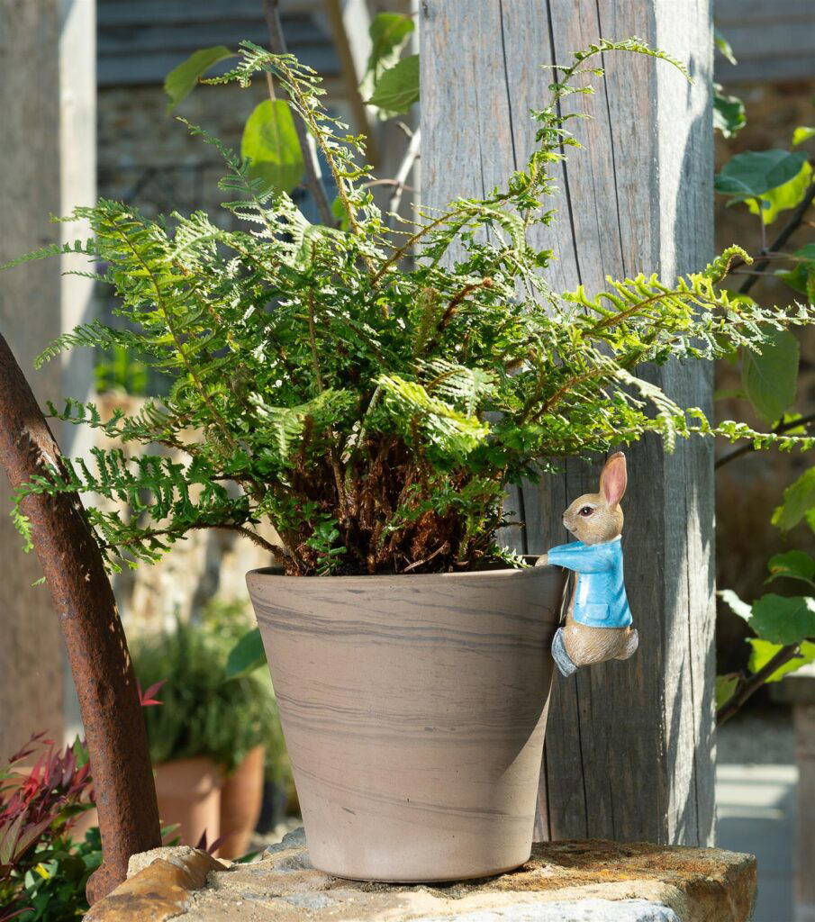 Beatrix Potter Peter Rabbit Hanging Plant Pot Hanger - Jardinopia Ltd