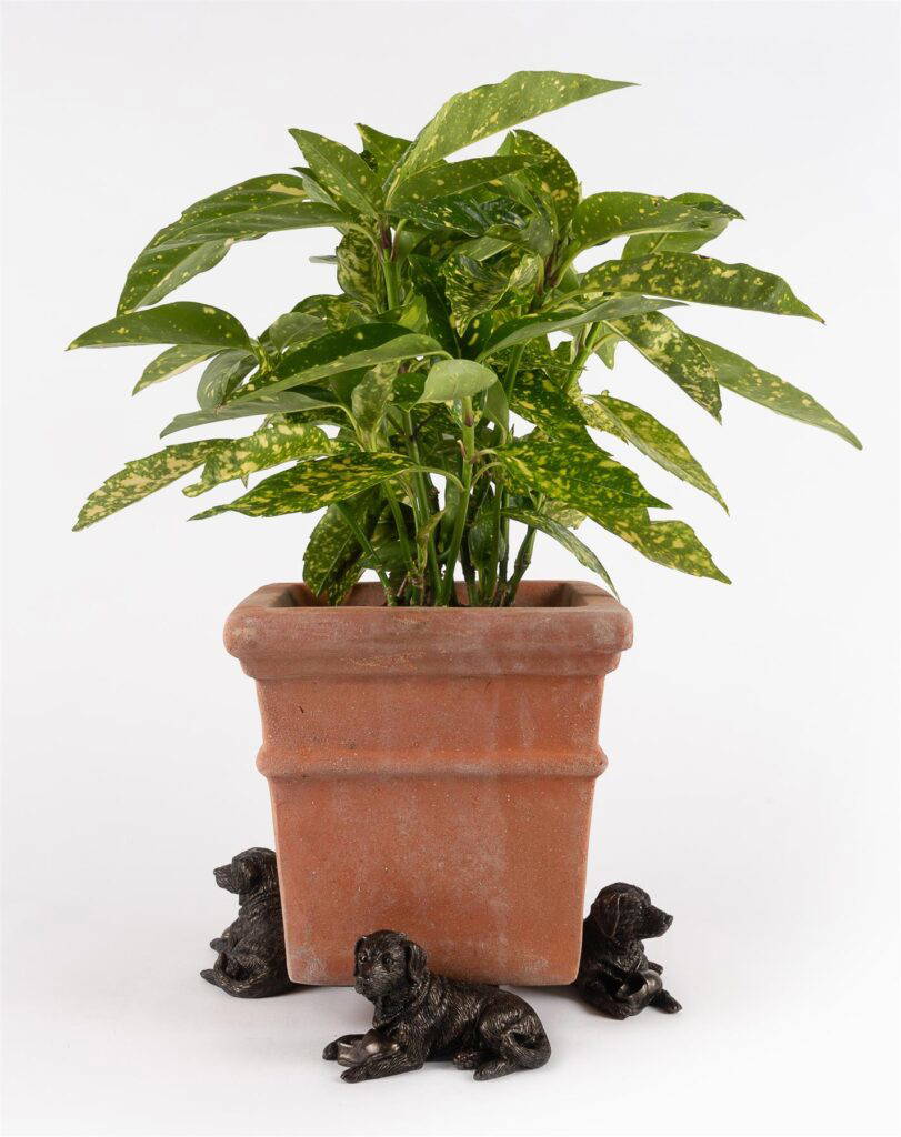 Resting Labrador Plant Pot Feet - Set of 3 - Jardinopia Ltd