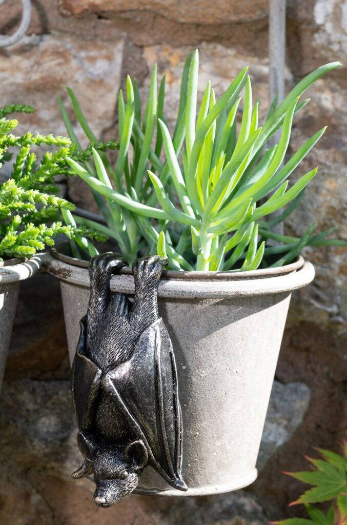 Bat Plant Pot Hanger - Jardinopia Ltd