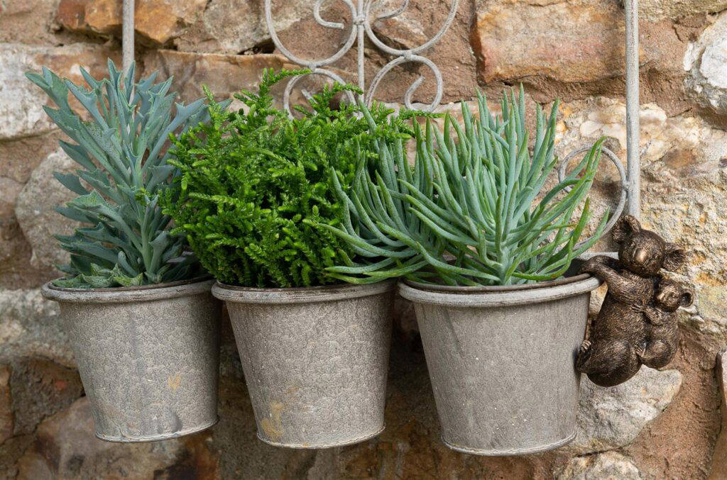 Koala and Cub Plant Pot Hanger - Jardinopia Ltd