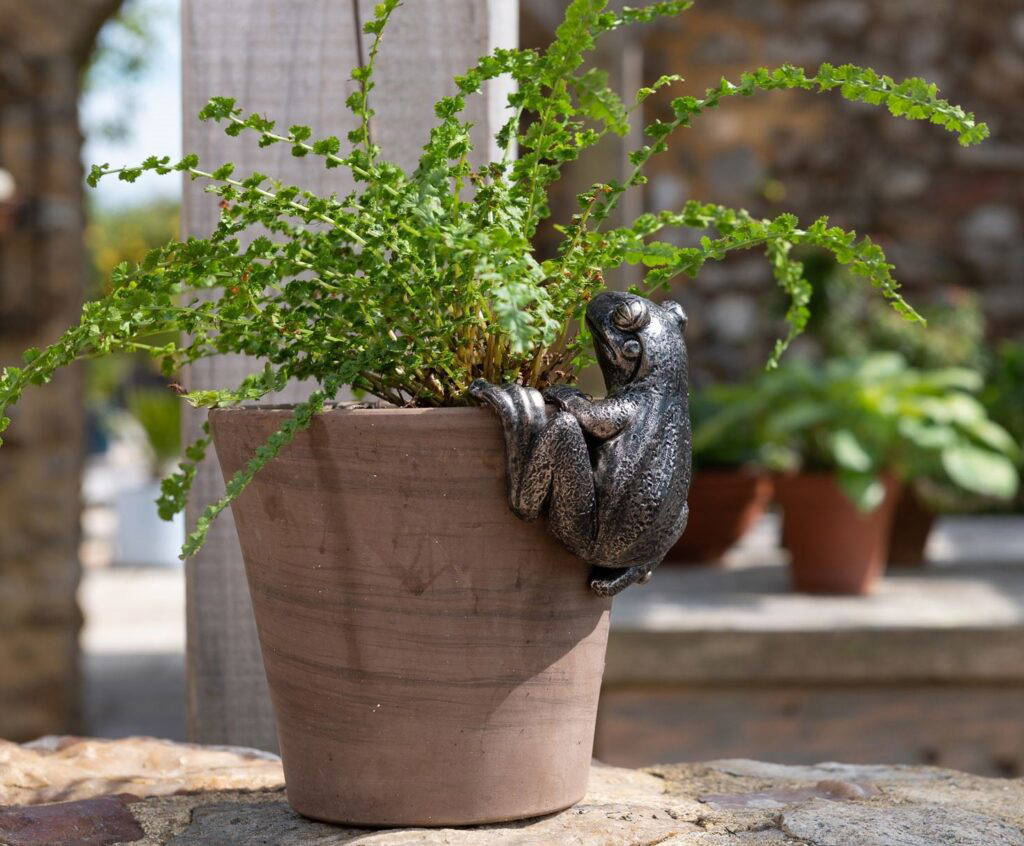 Frog Plant Pot Hanger - Jardinopia Ltd