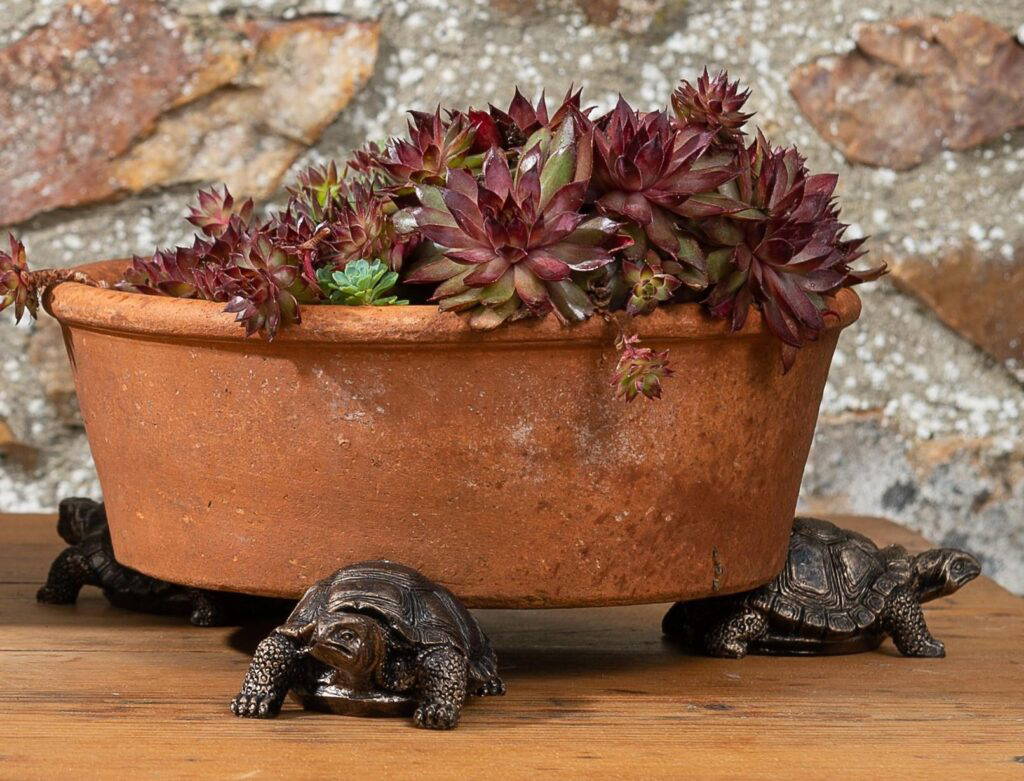 Tortoise Plant Pot Feet - Set of 3 - Jardinopia Ltd