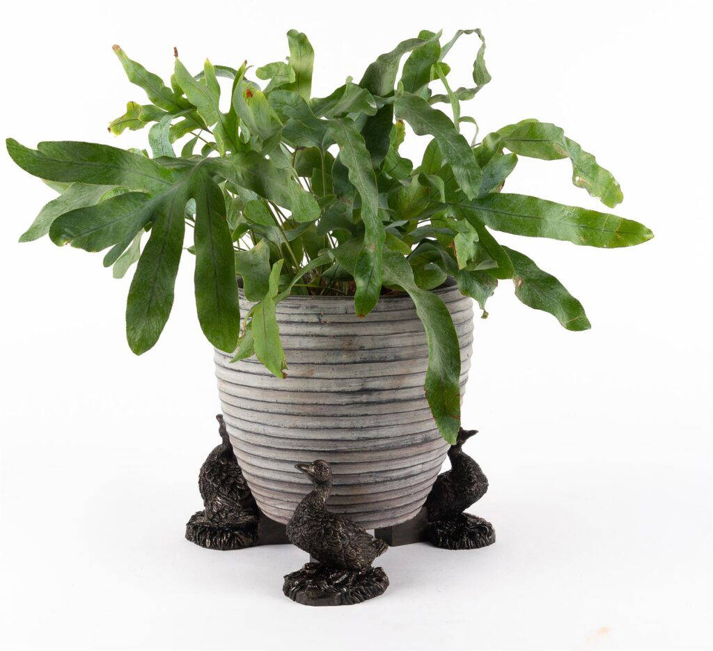 Highland Cow Plant Pot Feet - Set of 3 - Jardinopia Ltd