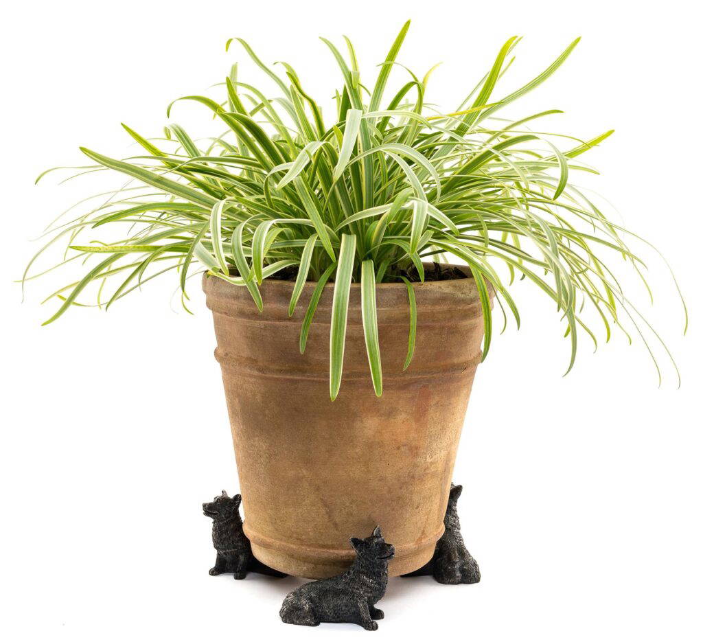 Corgi Plant Pot Feet - Set of 3 - Jardinopia Ltd