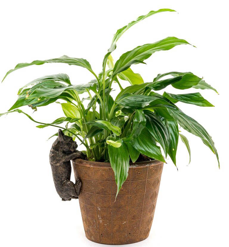 French Bulldog Plant Pot Hanger - Jardinopia Ltd