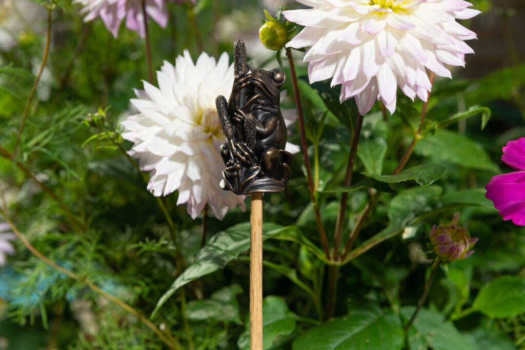 Frog Potty Feet and Pot Buddy and Cane Companion - Jardinopia Ltd
