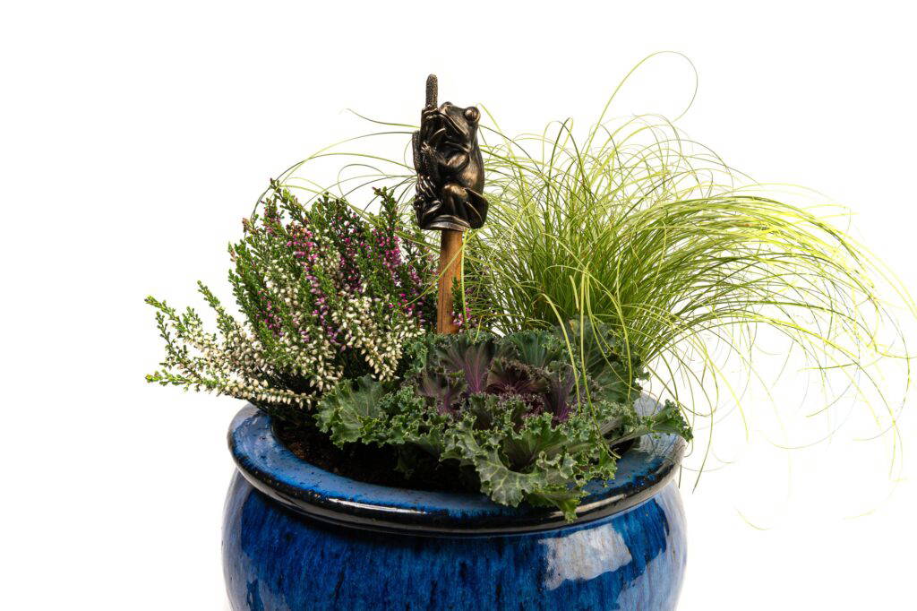Frog Potty Feet and Pot Buddy and Cane Companion - Jardinopia Ltd
