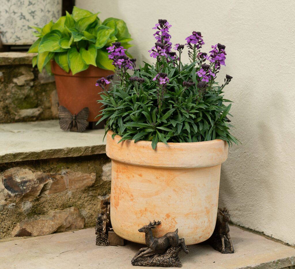 Leaping Stag Plant Pot Feet - Set of 3 - Jardinopia Ltd
