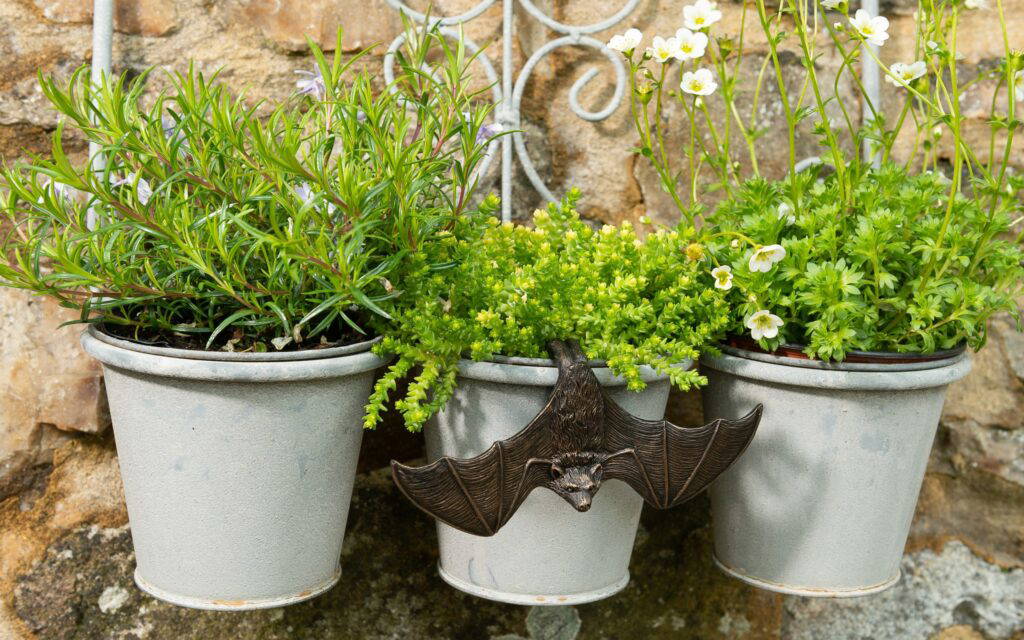 Antique Bronze Coloured Bat Pot Buddy Pot Hanger - Jardinopia Ltd