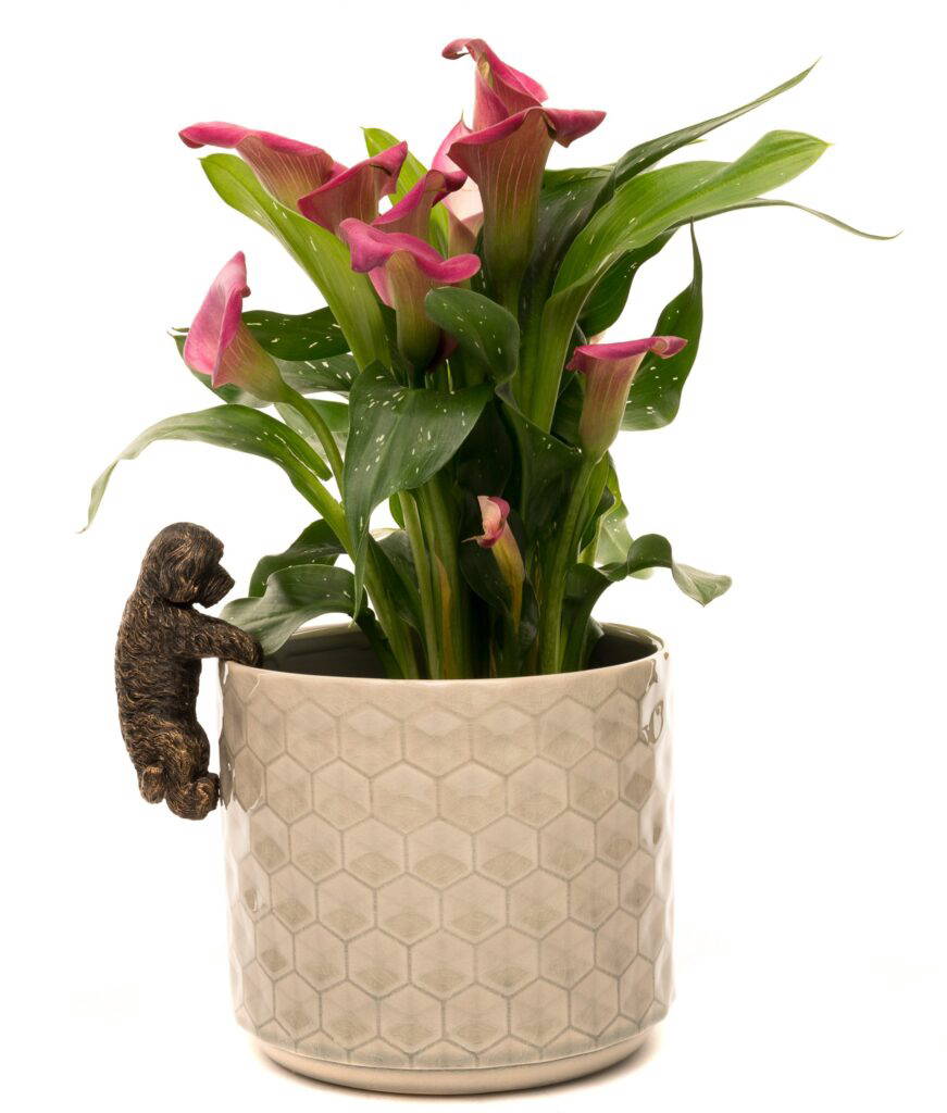 Antique Bronze Coloured Cockapoo Pot Buddy Plant Pot Hanger ...