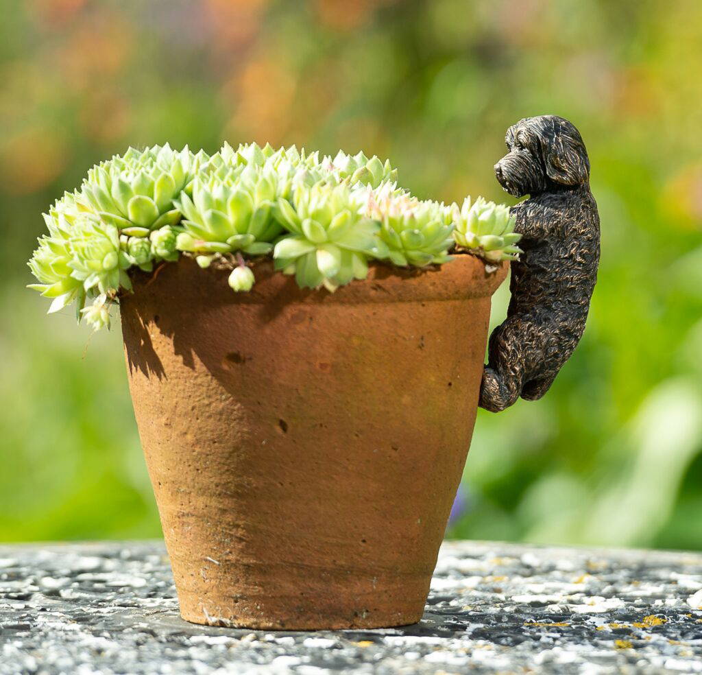 Antique Bronze Coloured Cockapoo Pot Buddy Plant Pot Hanger ...