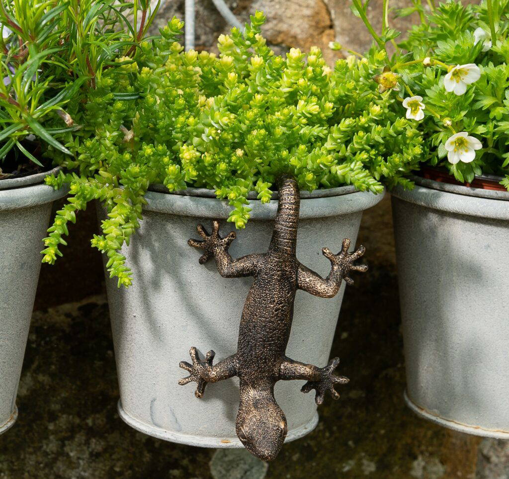 Antique Bronze Coloured Gecko Pot Buddy Plant Pot Hanger - Jardinopia Ltd