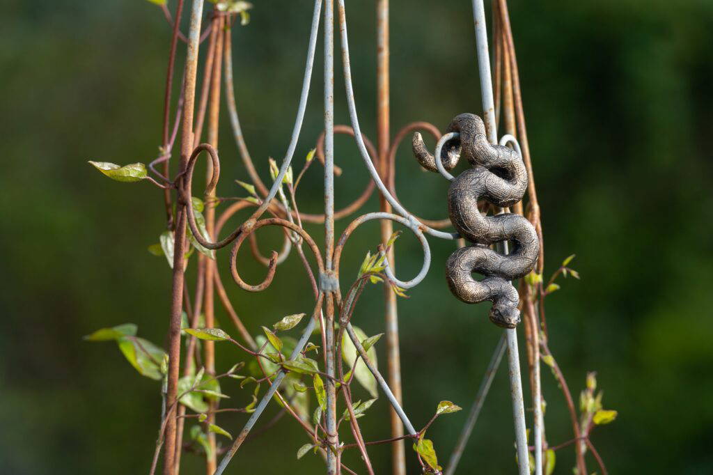 Gecko & Snake Bundle Set - Jardinopia Ltd