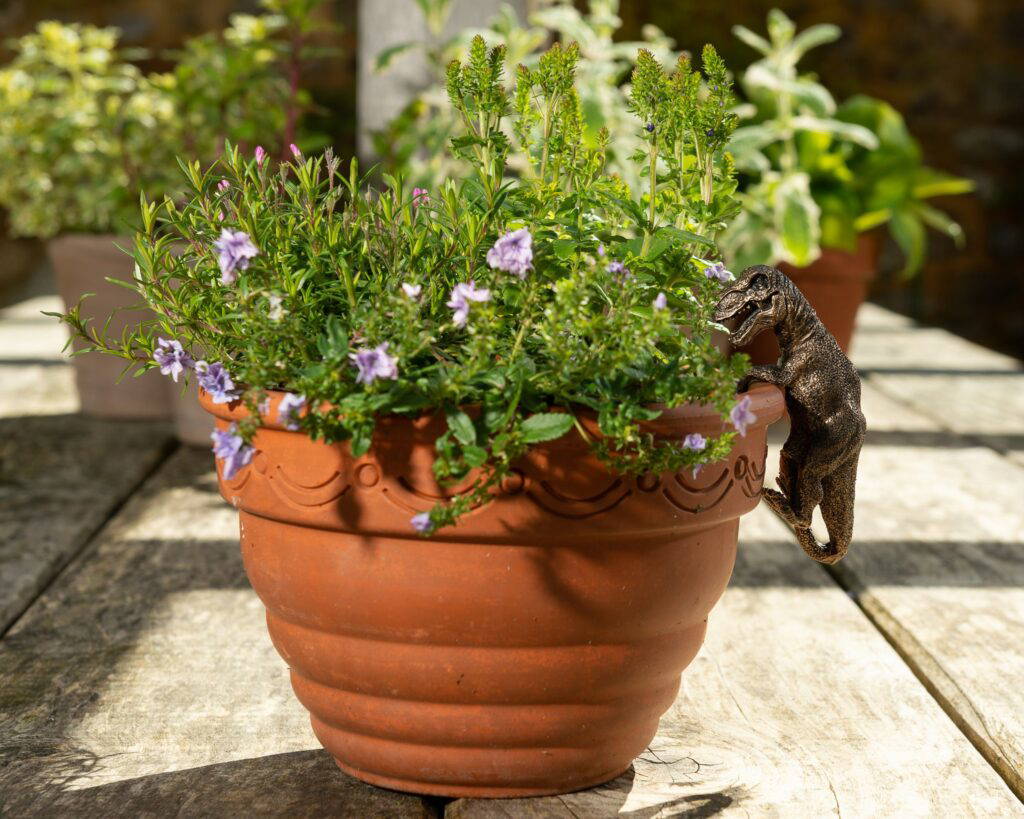Tyranasaurus Rex Plant Pot Hanger - Jardinopia Ltd