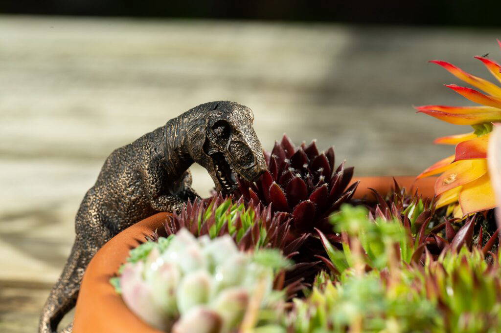 Tyranasaurus Rex Plant Pot Hanger - Jardinopia Ltd
