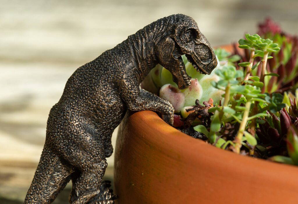 Tyranasaurus Rex Plant Pot Hanger - Jardinopia Ltd