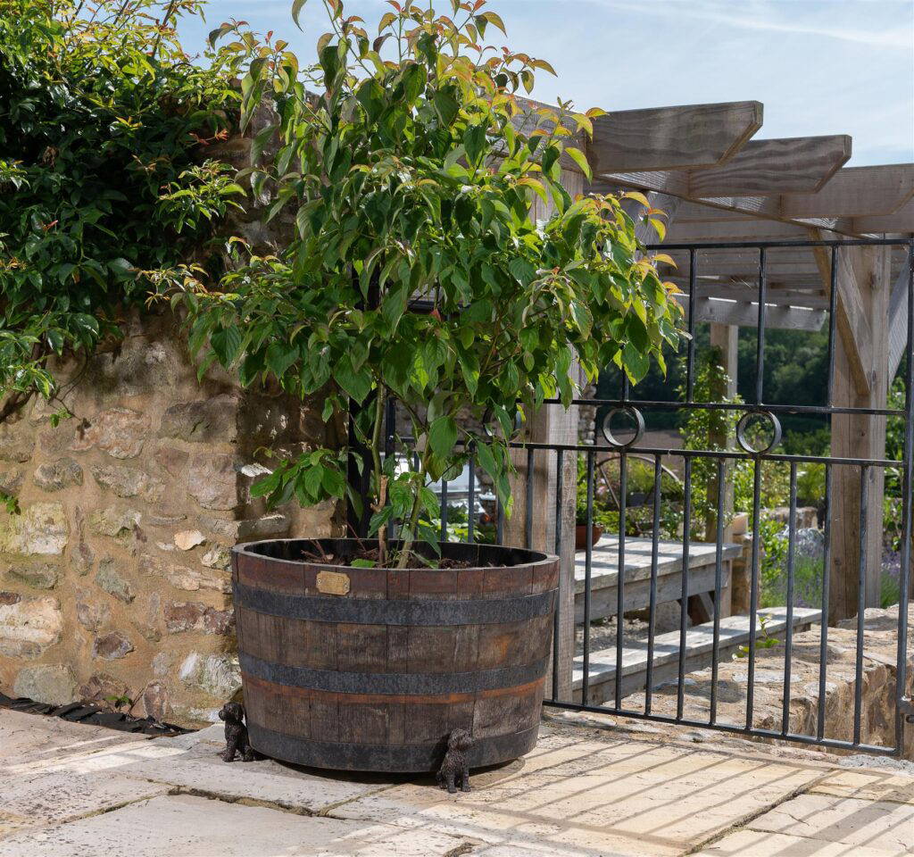 Cockapoo Plant Pot Feet – Set of 3 – Jardinopia Ltd