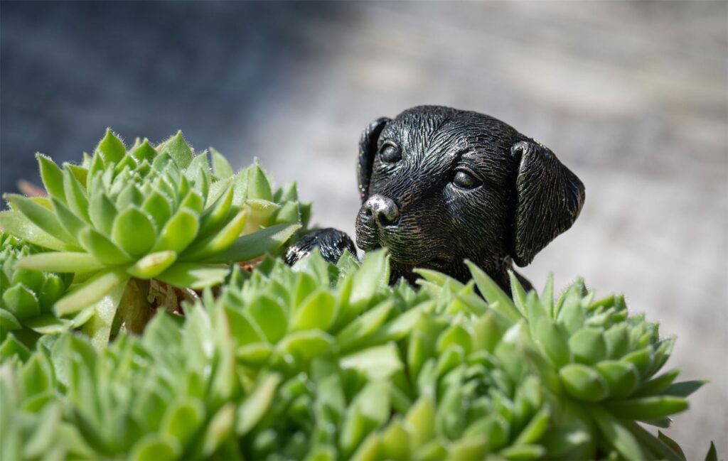 Labrador Plant Pot Hanger – Jardinopia Ltd