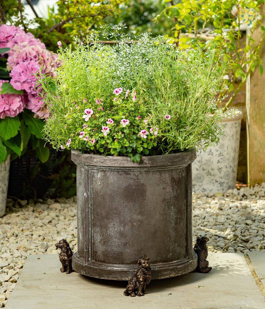 Border Collie Plant Pot Feet - Set of 3 - Jardinopia Ltd