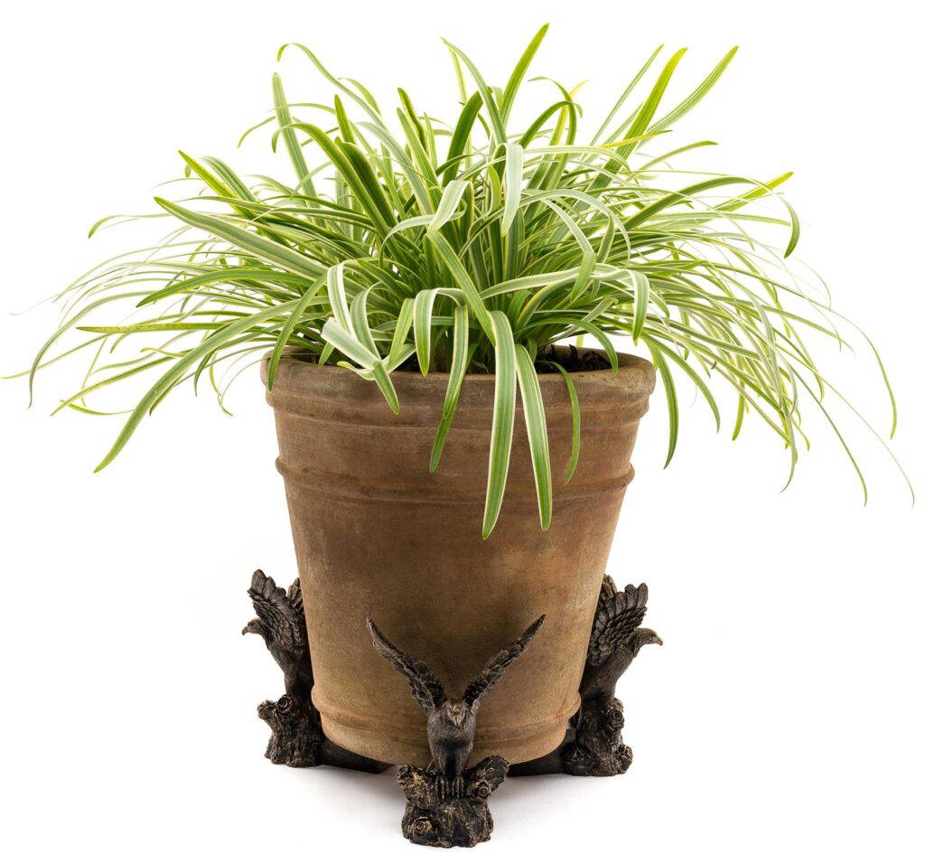 American Bald Eagle Plant Pot Feet - Set of 3 - Jardinopia Ltd