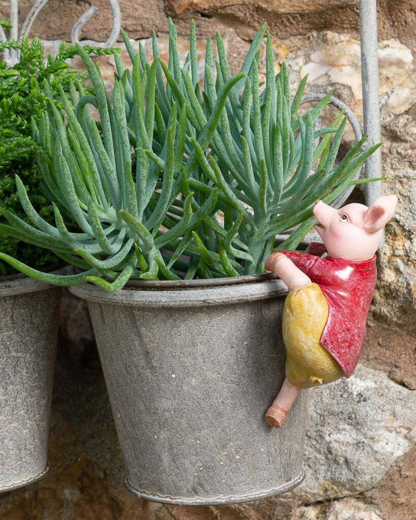 Beatrix Potter Pigling Bland Plant Pot Hanger – Jardinopia Ltd