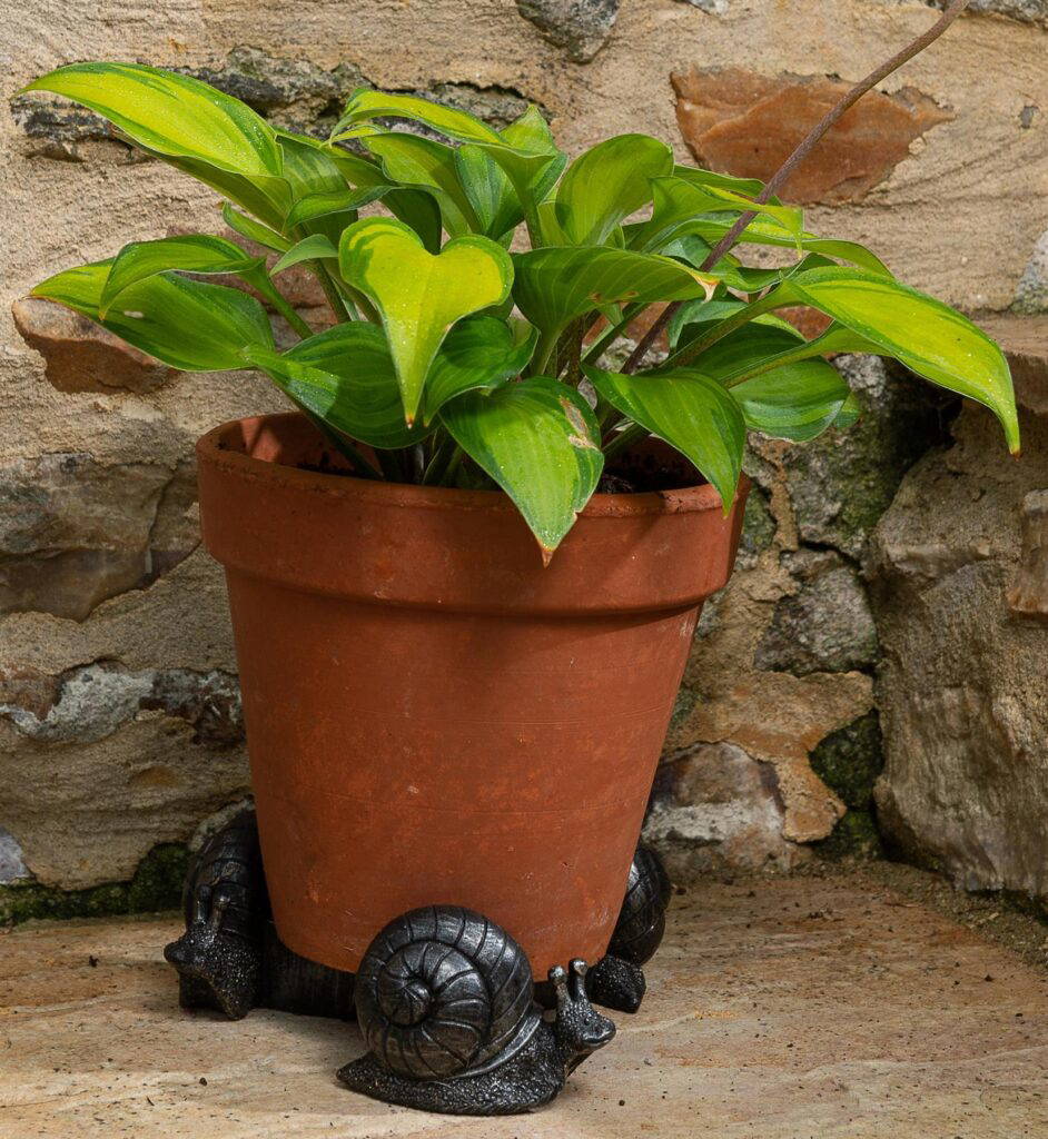 Snail Plant Pot Feet - Set of 3 - Jardinopia Ltd