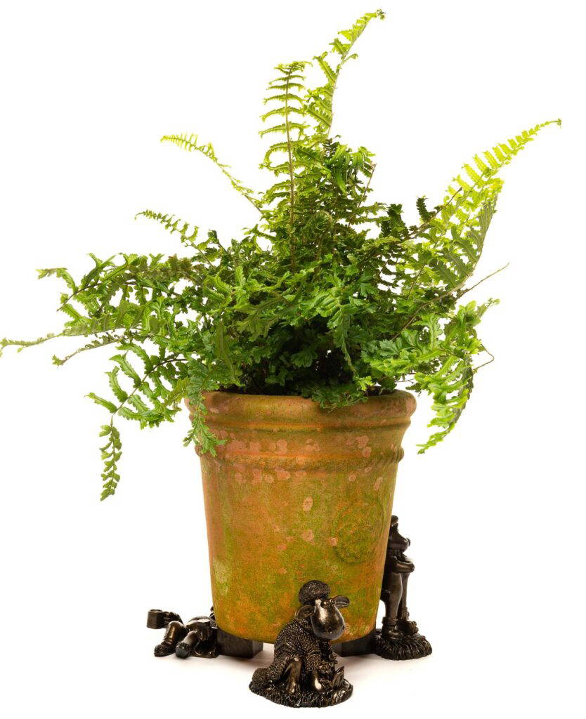 Wallace and Gromit Plant Pot Feet - Wallace, Grommit and Shaun the ...