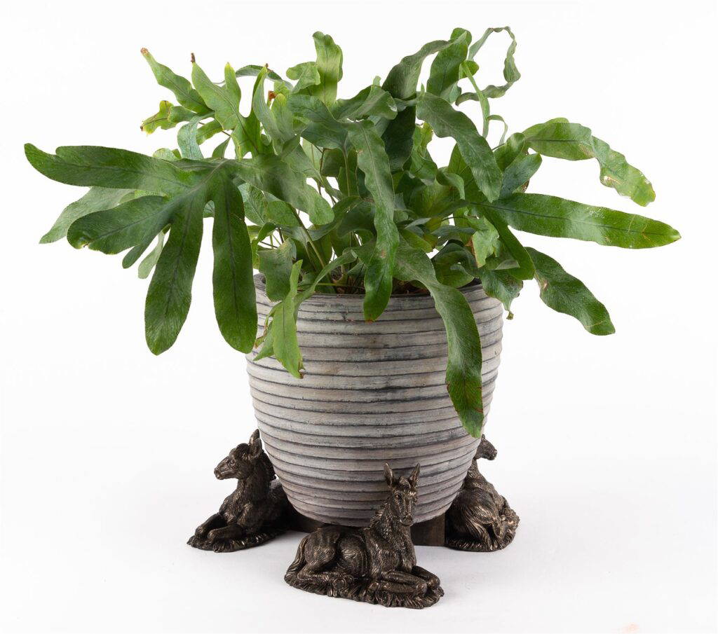 Donkey Foal Plant Pot Feet - Set of 3 - Jardinopia Ltd