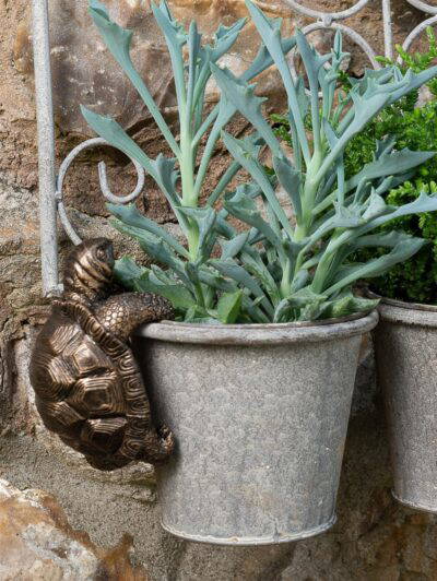 Tortoise Plant Pot Hanger - Jardinopia Ltd