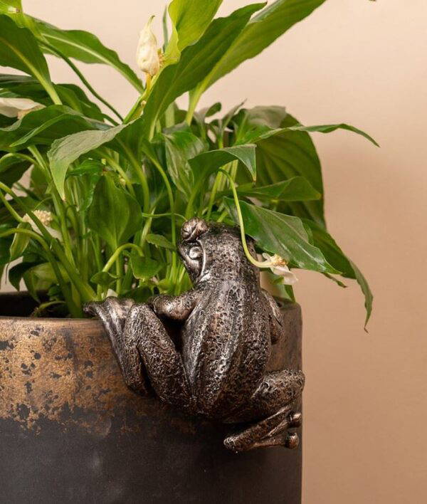 Frog Plant Pot Hanger - Jardinopia Ltd