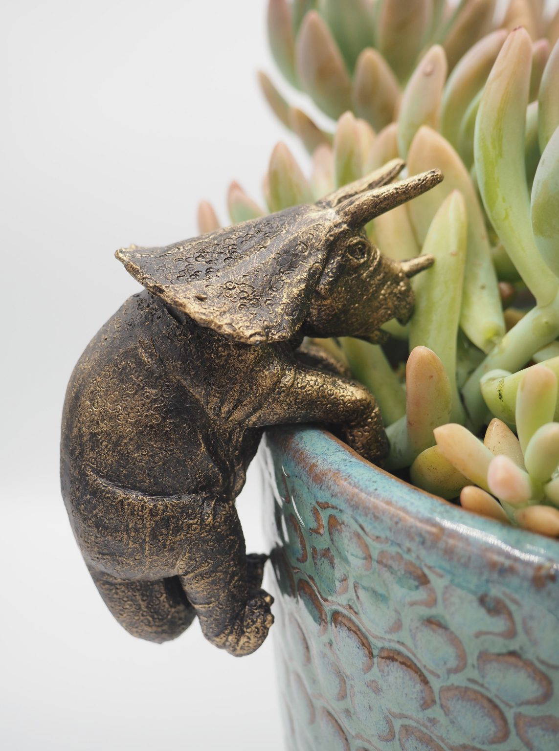 Triceratops Pot Buddies Plant Pot Hanger – Jardinopia Ltd
