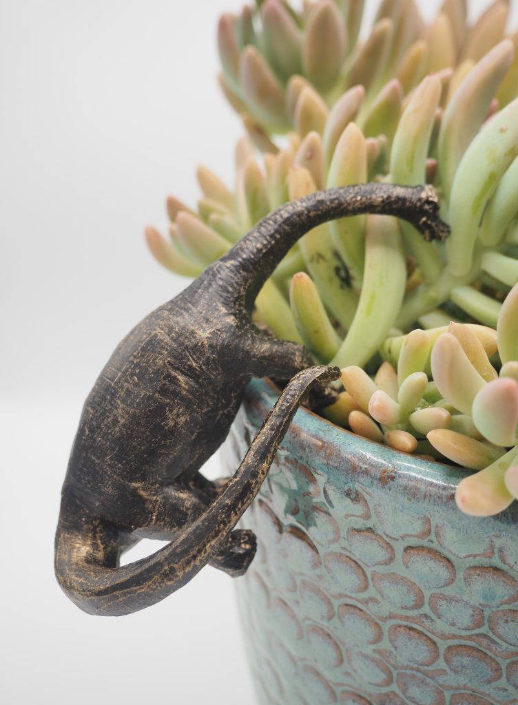 Brachiosaurus Pot Buddies Plant Pot Hanger - Jardinopia Ltd