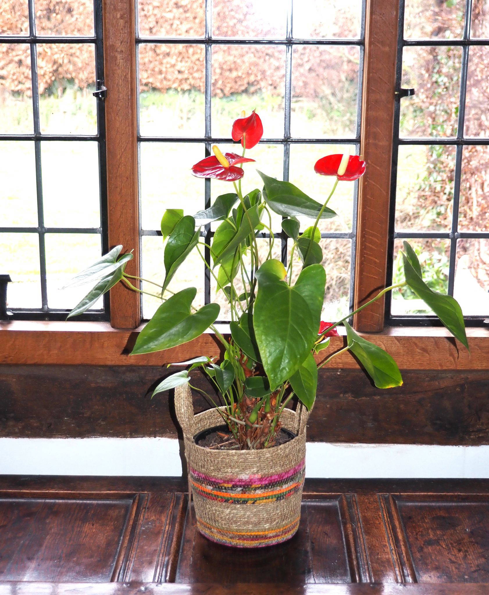Munja And Reclaimed Fabric Eco Plant Pot Cover With Handles - Large ...