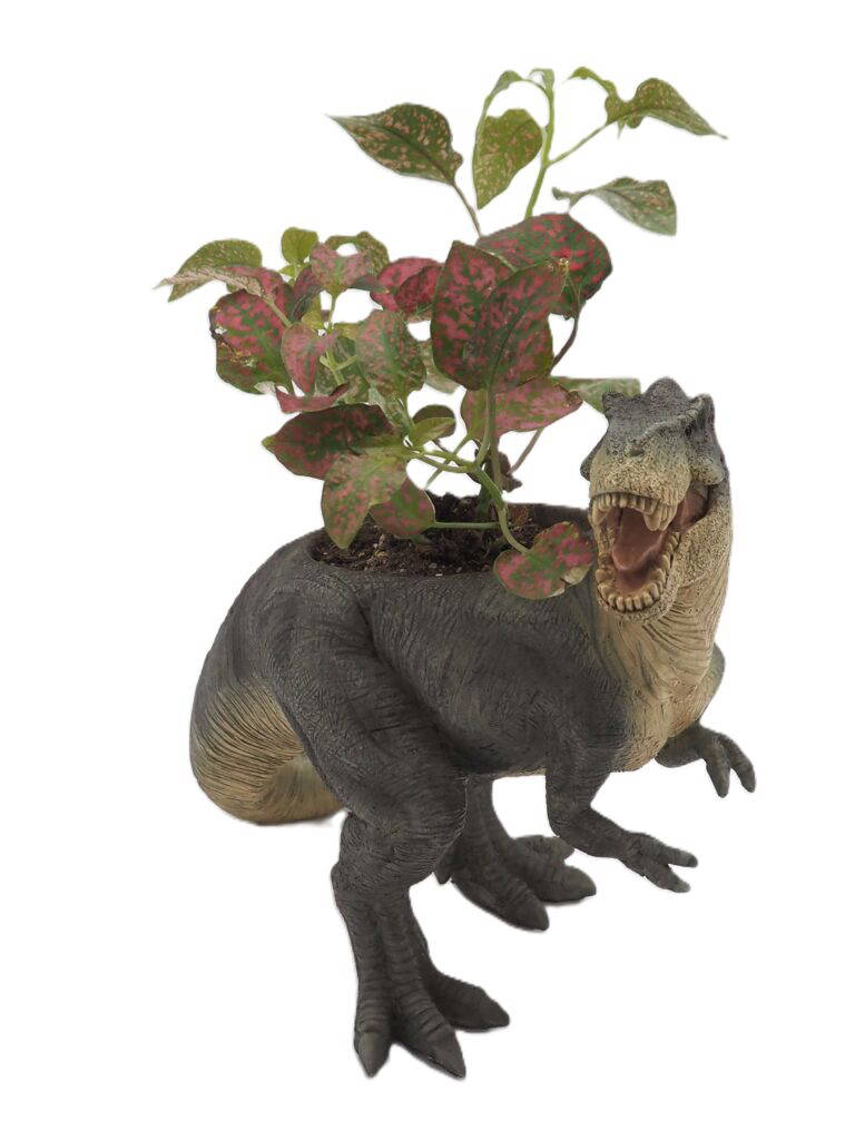T-Rex Dinosaur Planter - Jardinopia Ltd